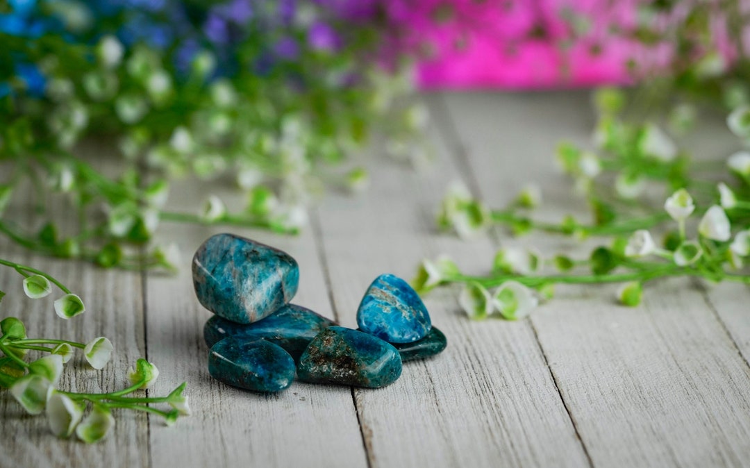 Tumbled Apatite Polished Stone - Etsy
