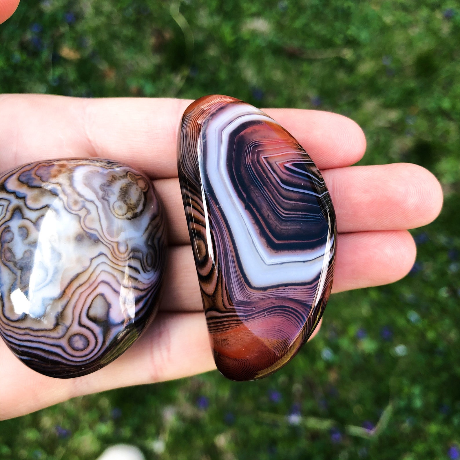 Sardonyx Agate Palm Stone Silk Agate - Etsy