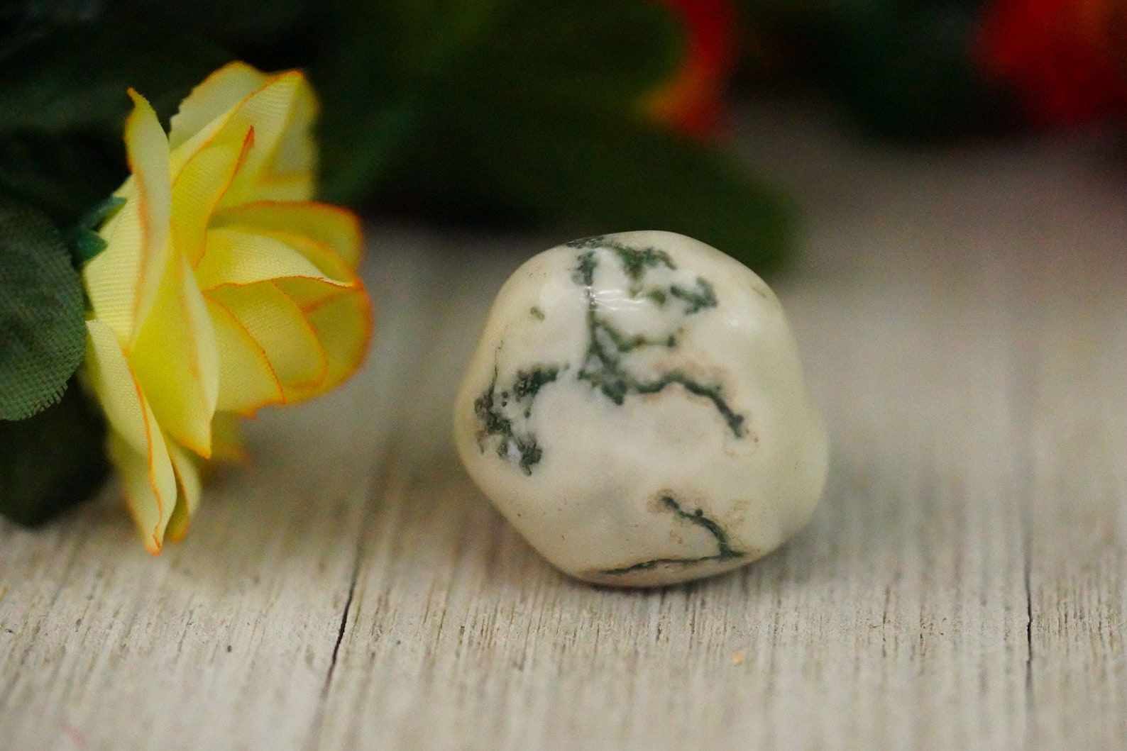 Tumbled White Moss Agate Polished Stone - Etsy