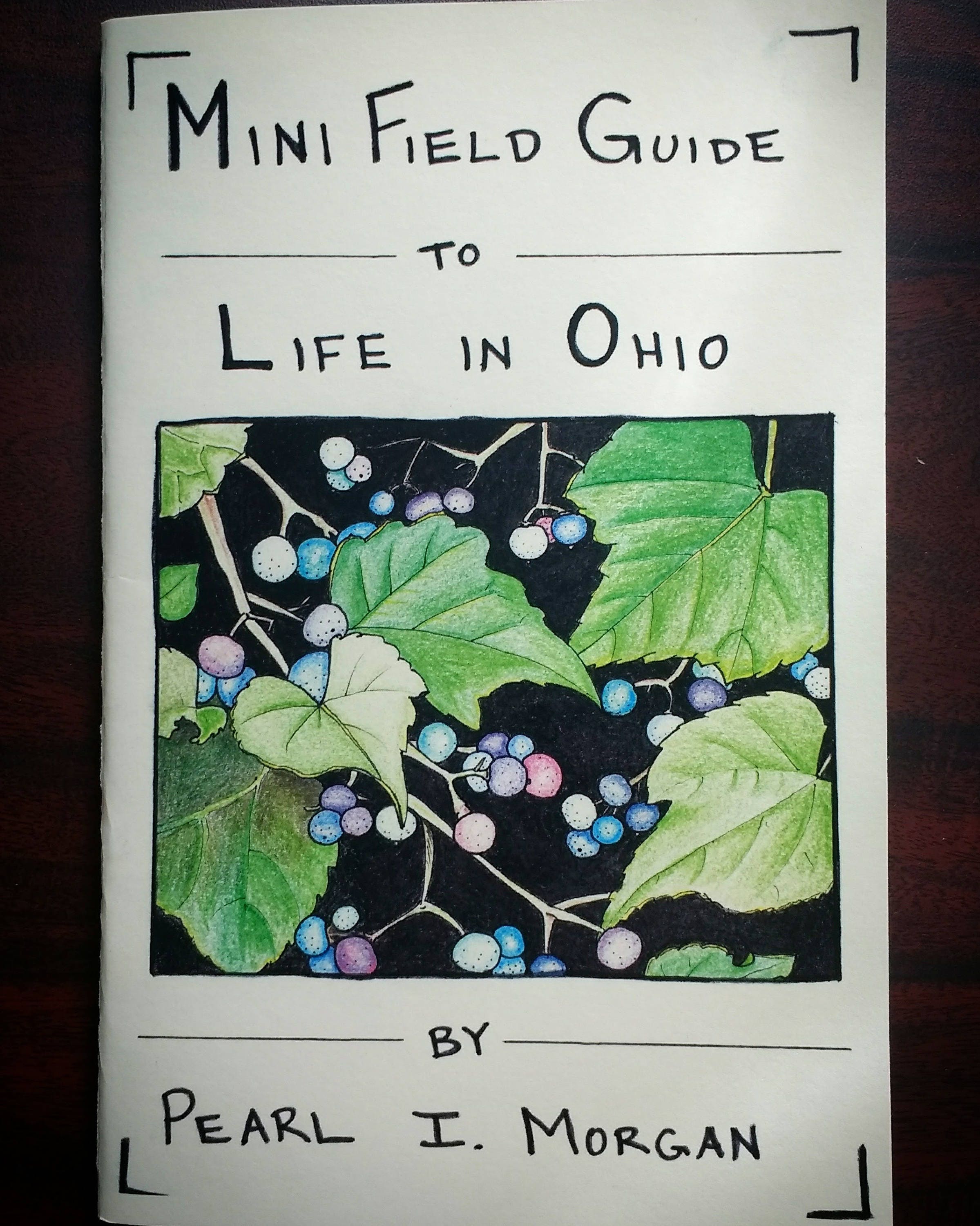 Mini Field Guide to Life in Ohio Zine - Etsy