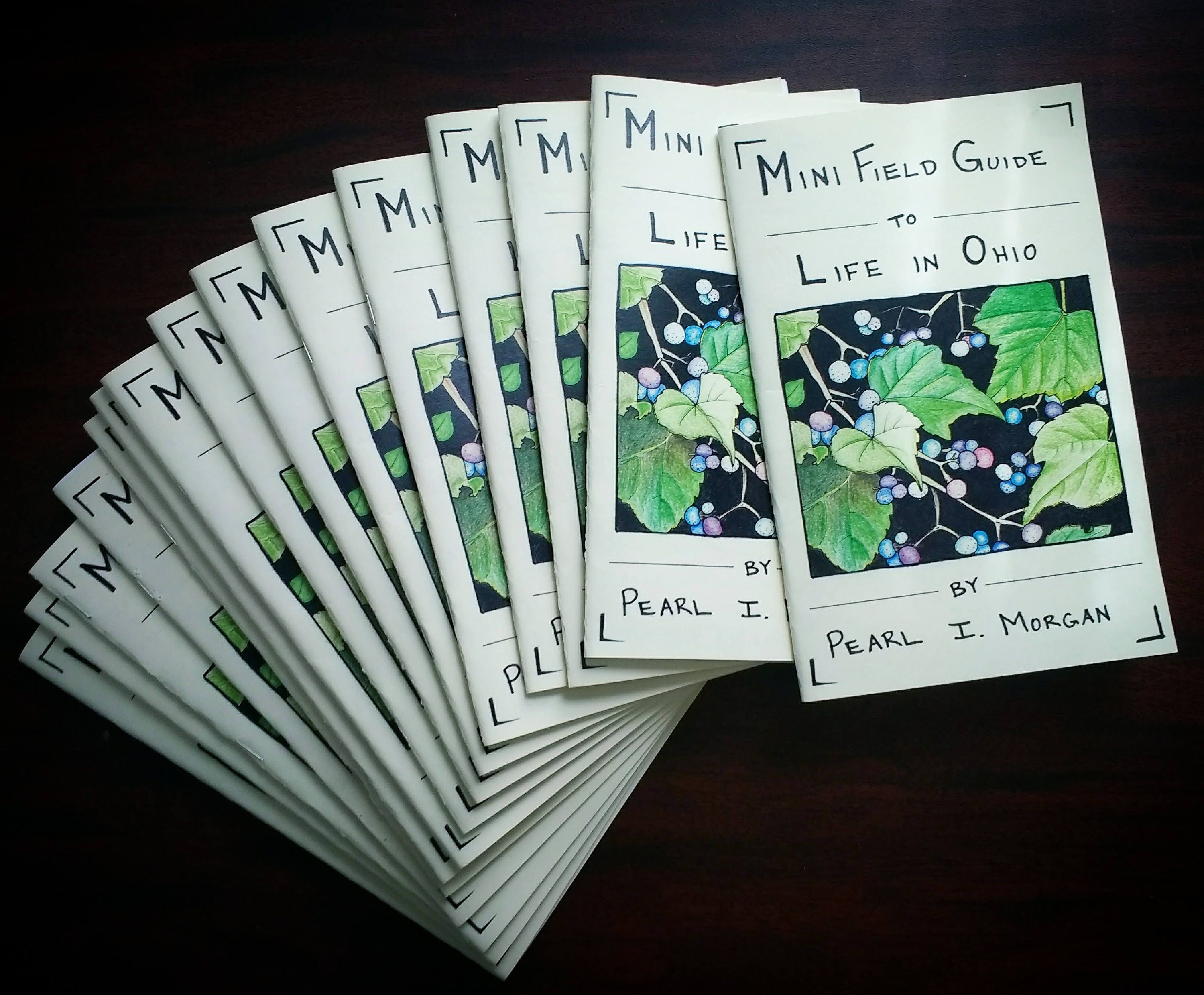 Mini Field Guide to Life in Ohio Zine - Etsy