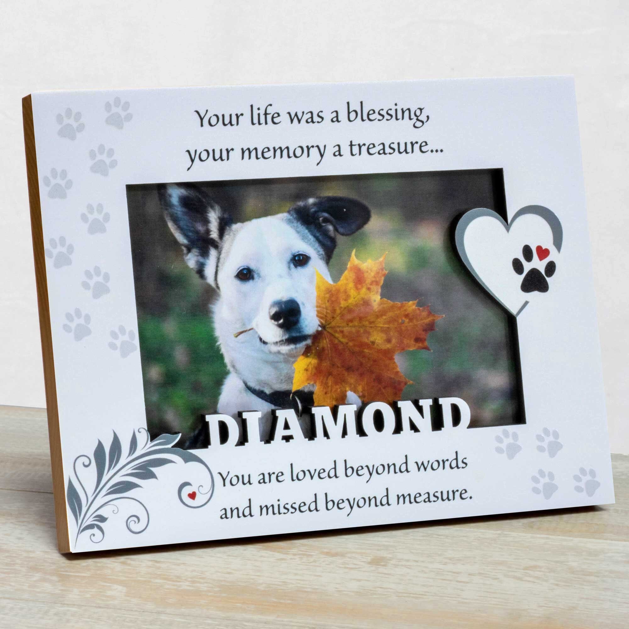 Cat Picture Frame Personalized Cat Frame Pet Memorial Frame - Etsy