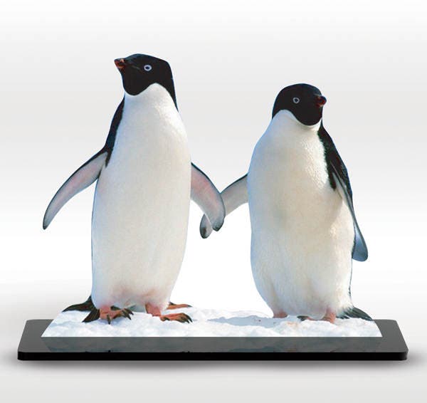 Penguins Holding Hands