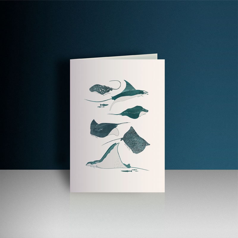 Ray Themed Greeting Card Sealife Inspired Birthday Card Rays - Etsy