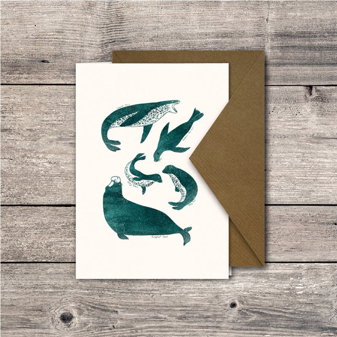 Seal Themed Greeting Card Sea Life Inspired Birthday Card - Etsy