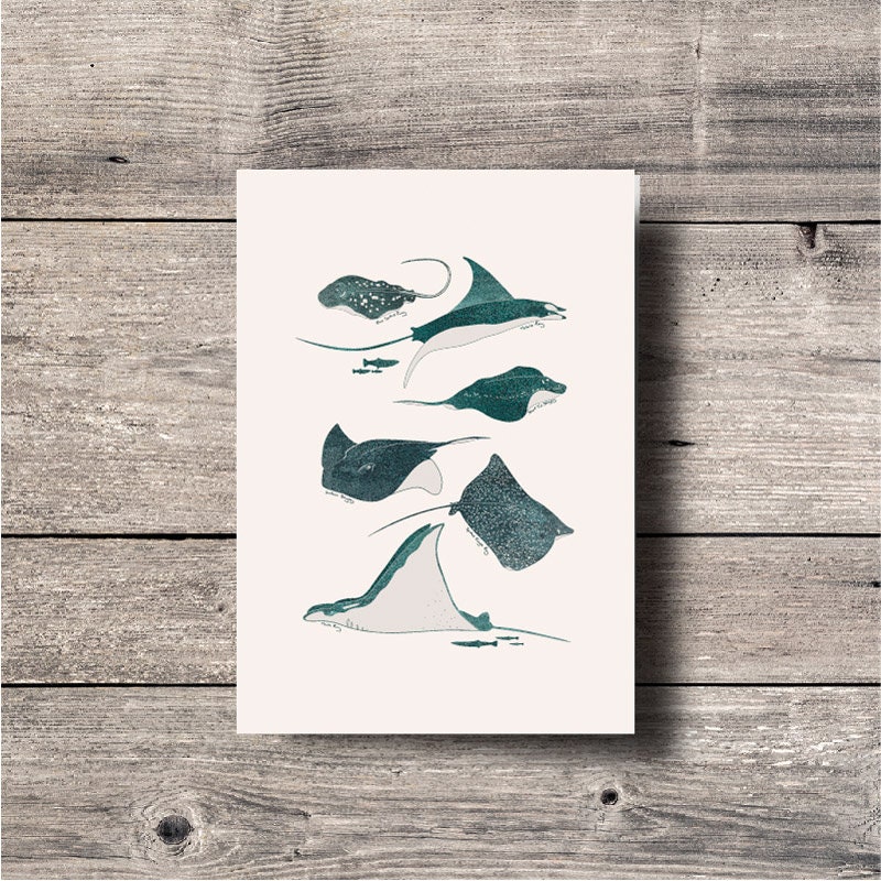 Ray Themed Greeting Card Sealife Inspired Birthday Card Rays | Etsy