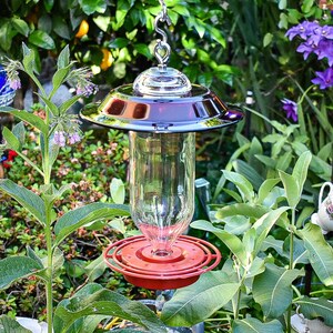 Hummingbird Feeder, Handmade, Product Jumbo 32 Oz - Etsy