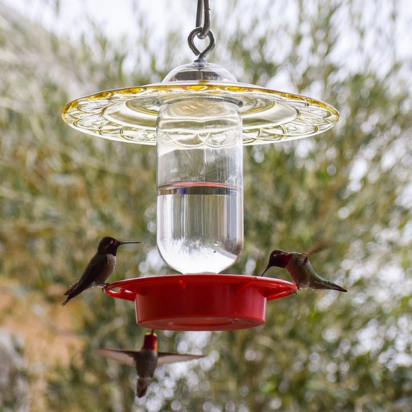 Bee Proof Hummingbird Feeder - Etsy