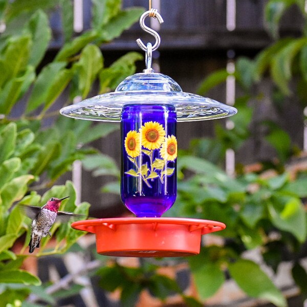 Bee Proof Hummingbird Feeder - Etsy