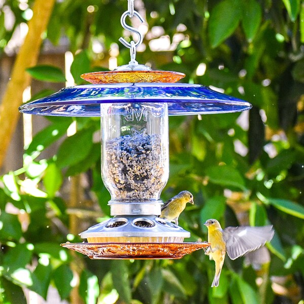 Hanging Bird Feeder - Etsy