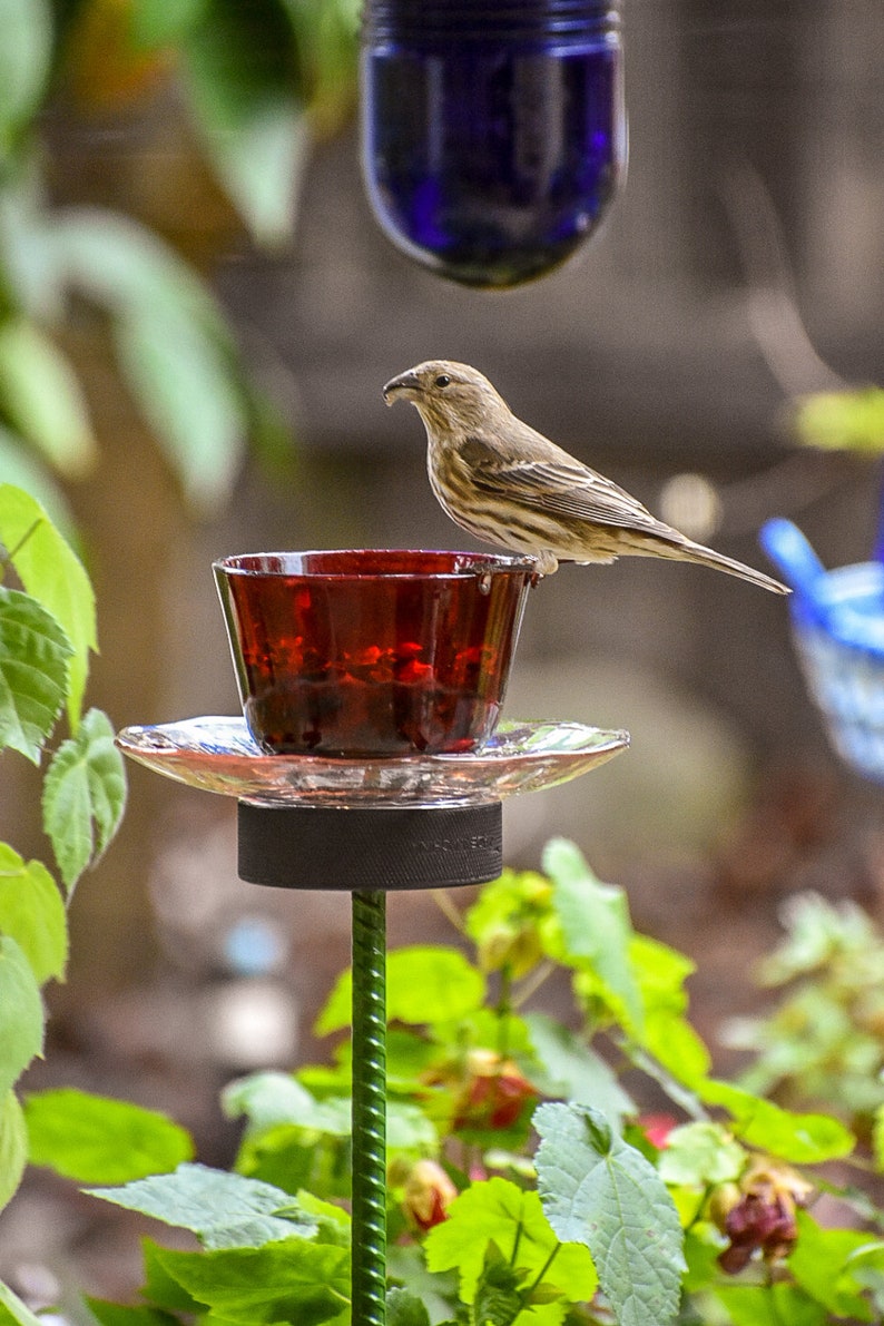 Bird Feeder Handmade Teacup for Bird Seed or Tea Lights | Etsy