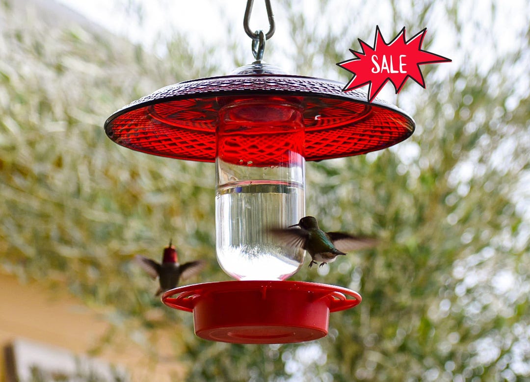 Hummingbird Feeder Bee Proof Drip Free With 16 Oz Clear With Larger ...