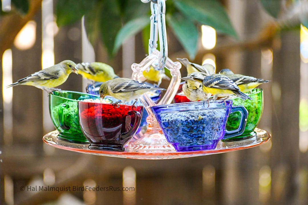 Hanging Glass Tea Cup Bird Feeder or Tealight Holder, 1930s Hocking ...