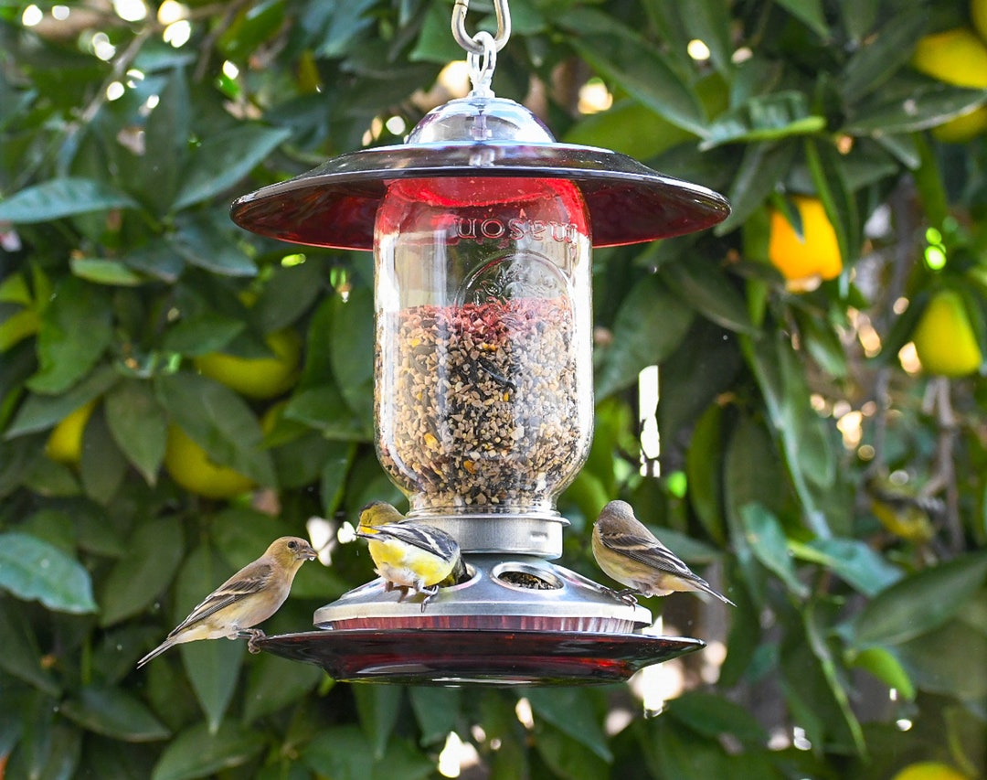 Handmade Red Glass Bird Feeder For The Outdoors Eco Friendly Feeding Station Etsy