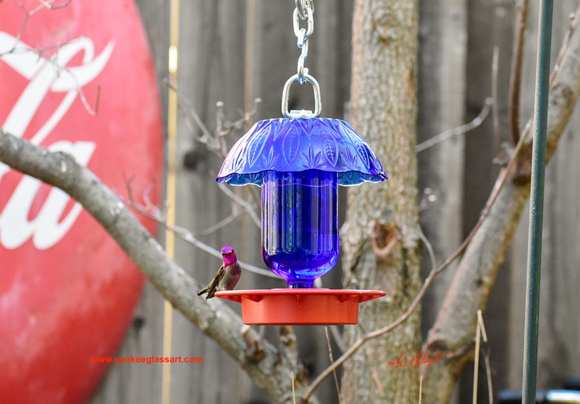 Hummingbird Feeder Bird Feeder No Drip Bee Proof 16 Oz - Etsy