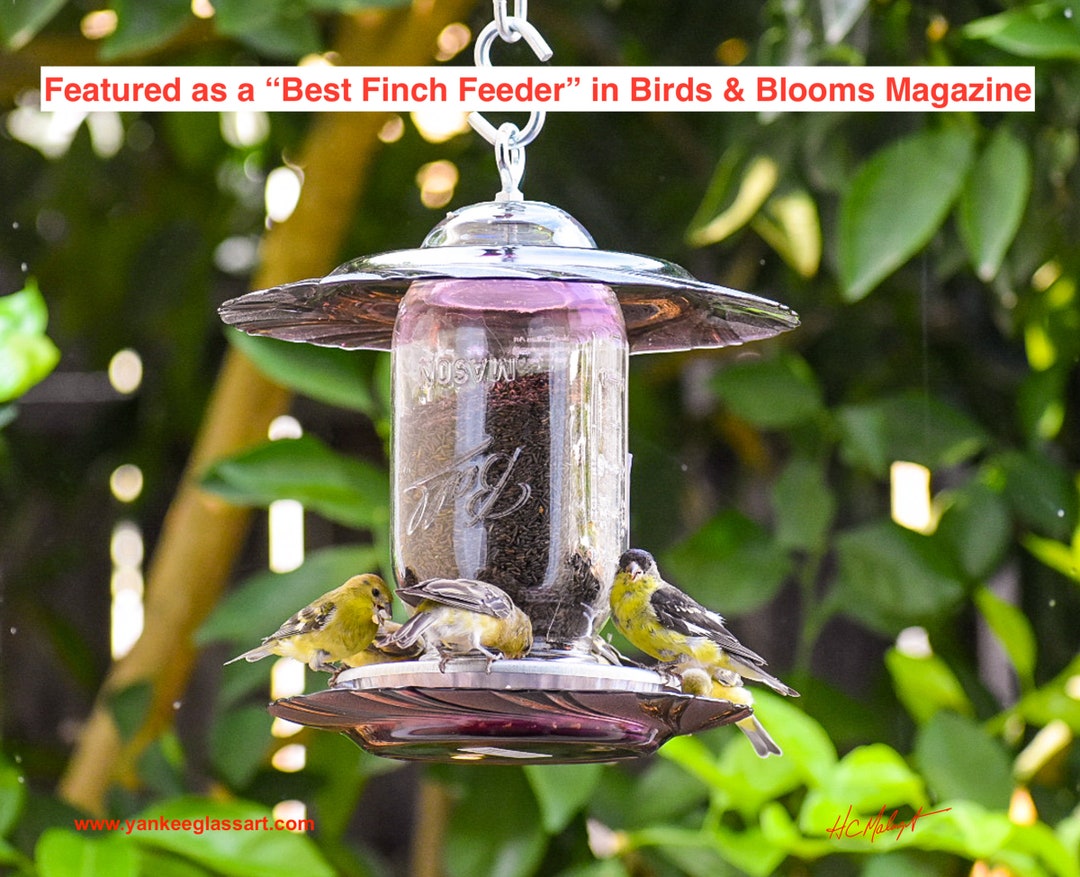 Amethyst Glass Finch Feeder, Mason Jar Bird Feeder - Etsy