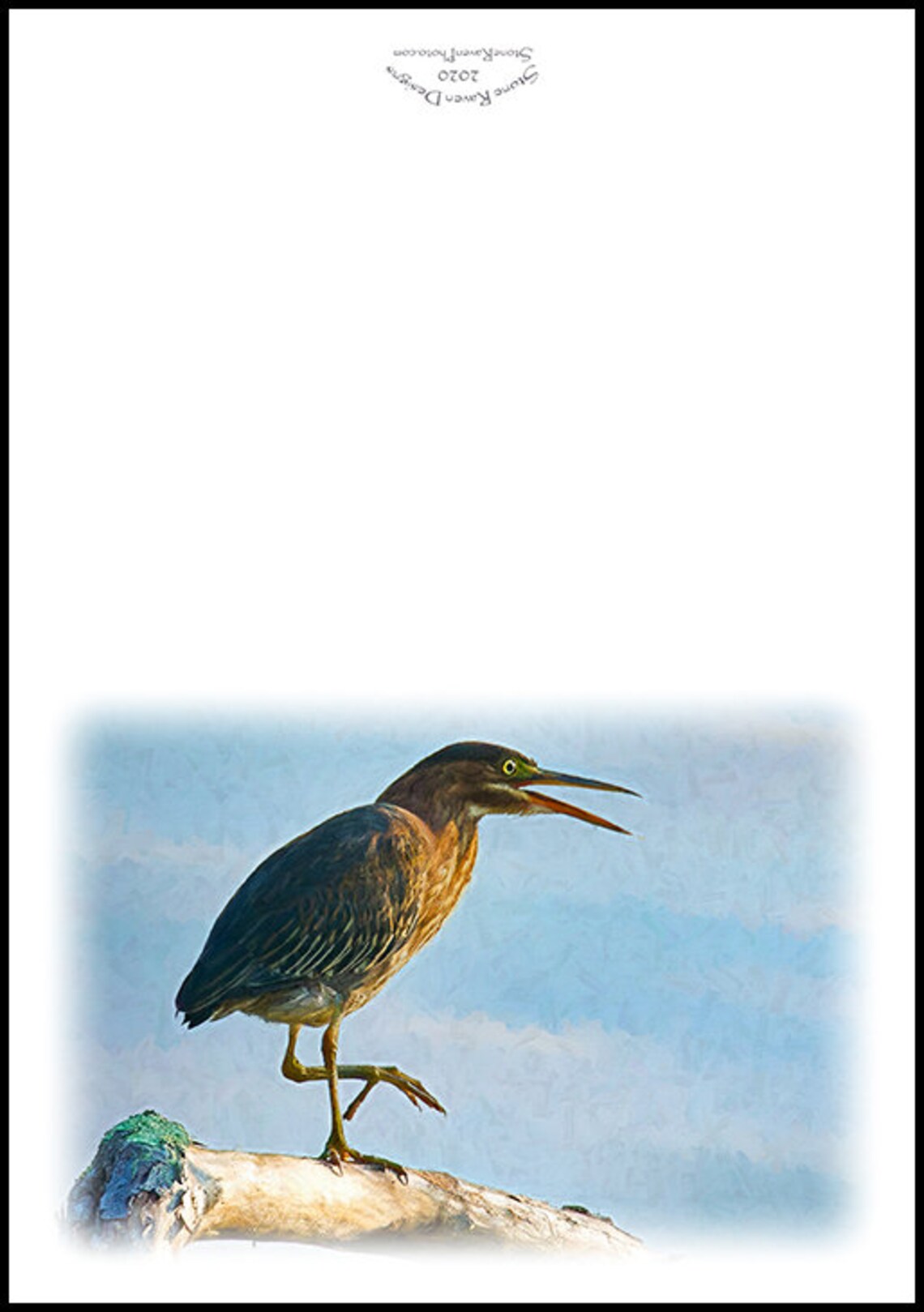 Buy Heron Note Cards, Birding Note Card, Any Occasion Cards, Nature ...