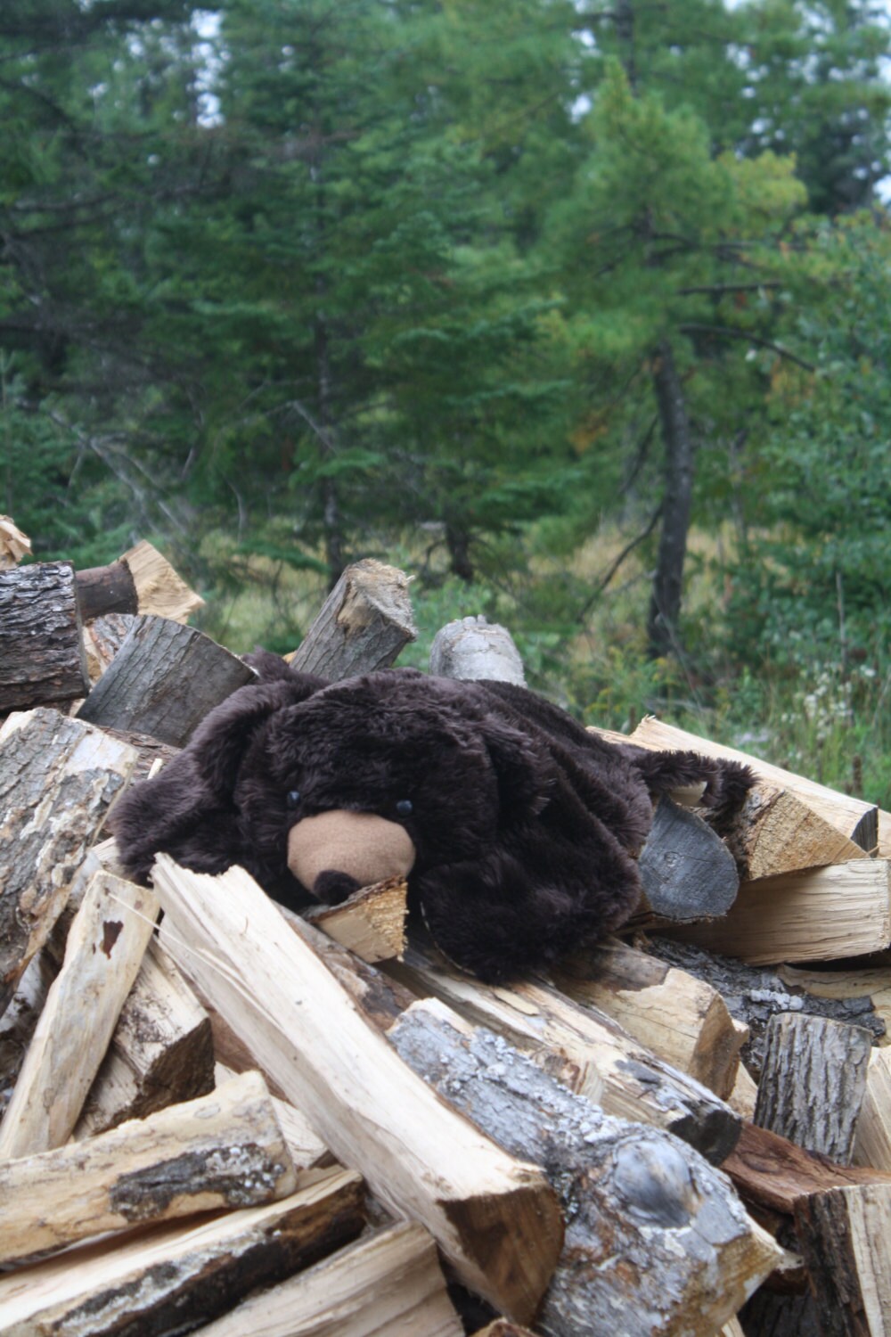 Brown Bear Rug Nursery Rug Woodland Nursery Bear Nursery Decor - Etsy ...