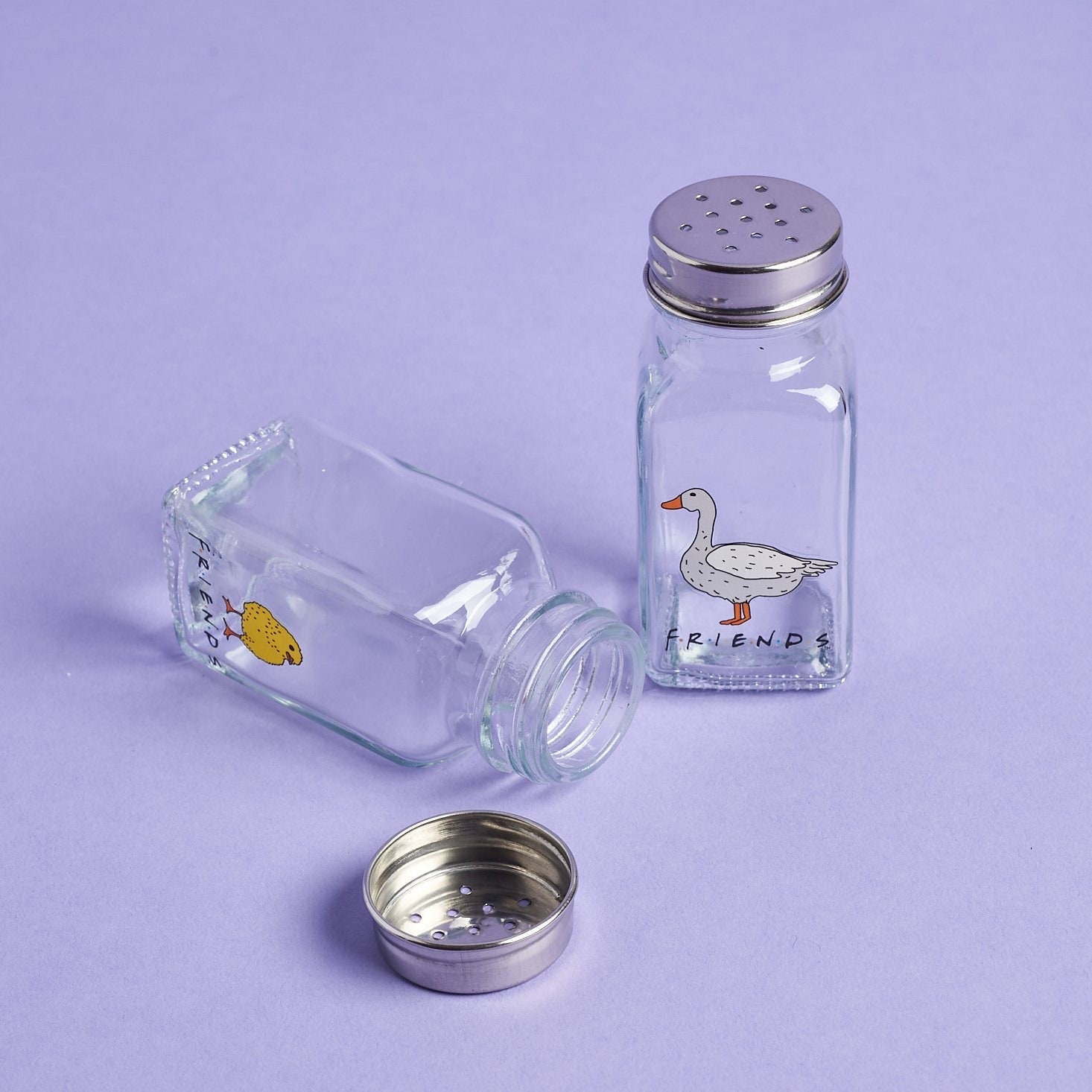 Friends Salt & Pepper Shakers, the One With a Chick and a Duck, Friends ...
