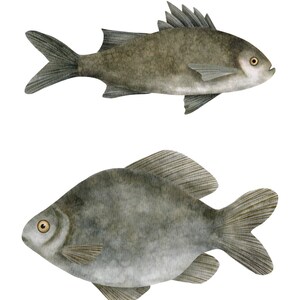 Personalized Watercolor Fishing Pole Nursery Decor Set of 3 Unframed ...