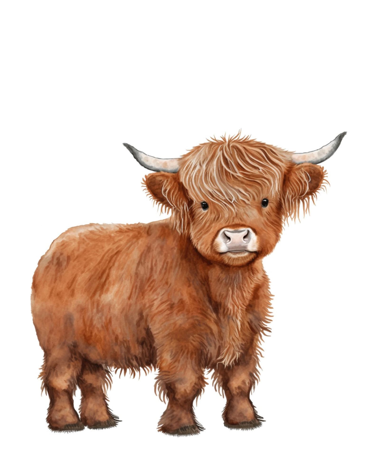 Watercolor Highland Cow Rustic Farm Nursery Decor Set of 3 - Etsy