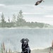 Instant Download Watercolor Duck Hunting Black Labrador - Etsy