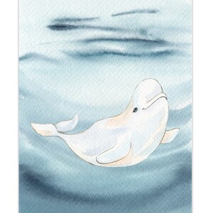Watercolor Beluga Whale Arctic Animal Nursery Unframed Print - Etsy