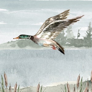 Watercolor Duck Hunting Nursery Mallard Duck Little Boys Room Rustic ...