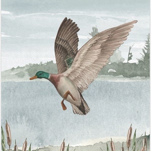 Watercolor Duck Hunting Nursery Mallard Duck Little Boys Room Unframed ...