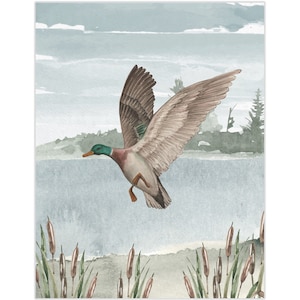 Watercolor Duck Hunting Nursery Mallard Duck Little Boys Room Unframed ...