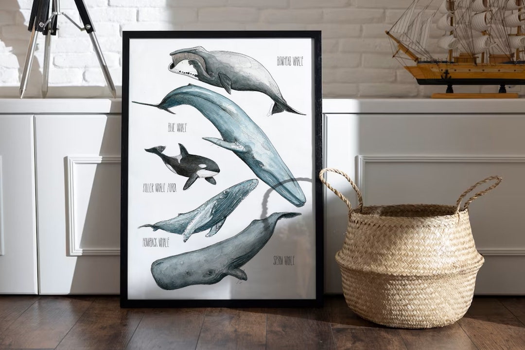 Wale Poster, A4 oder A3 Blatt, Aquarell Illustration Poster - Etsy.de