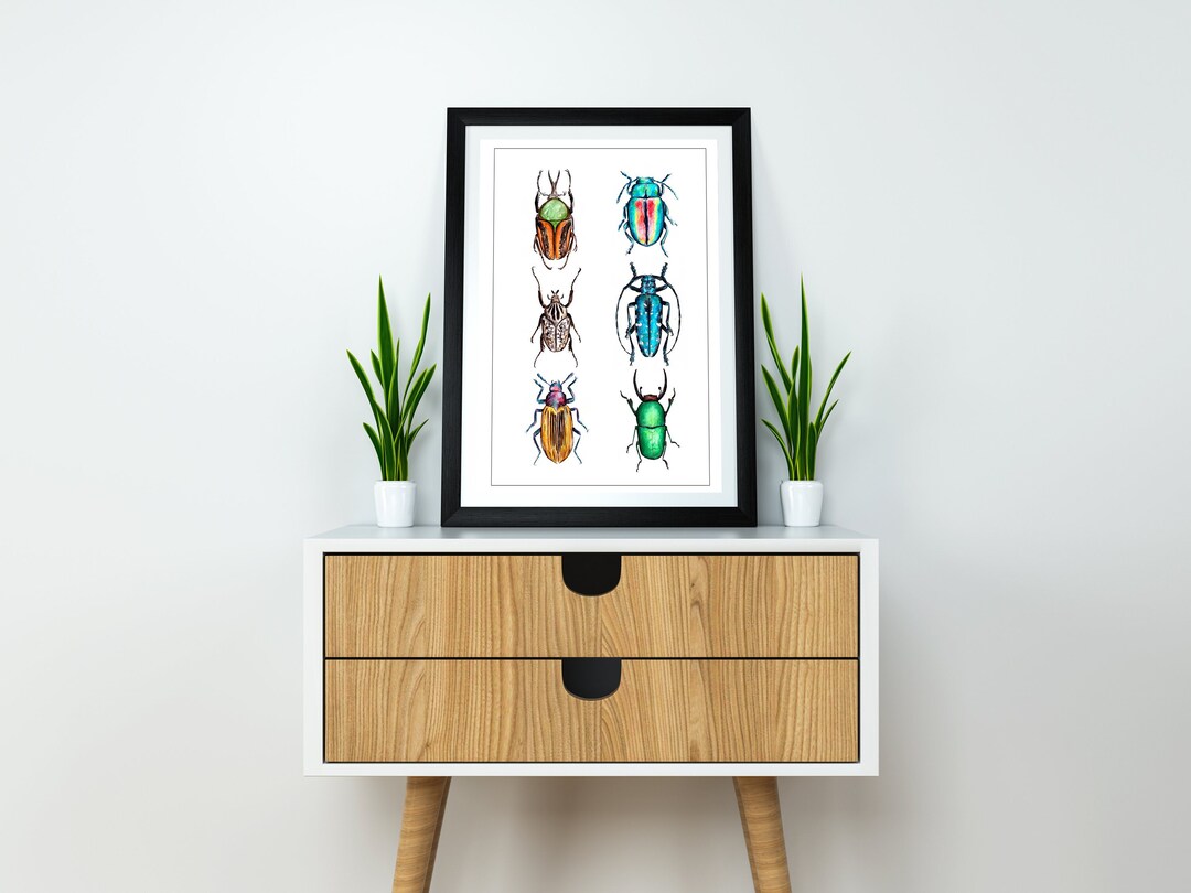 BEETLES, Watercolor Illustration INSECTS, A4 or A3 Sheet, BEETLE Art ...