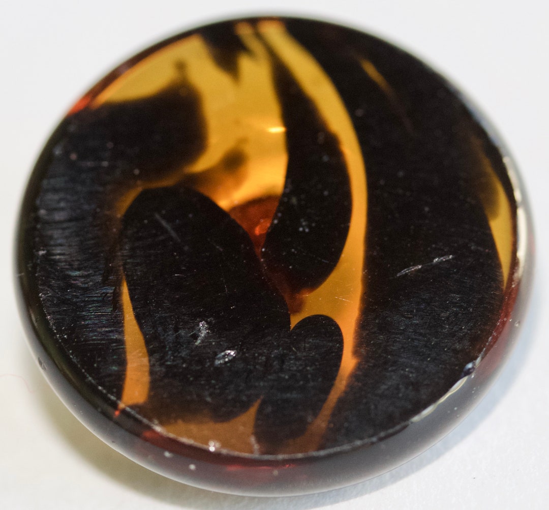 Tortoise Shell Glass - Etsy