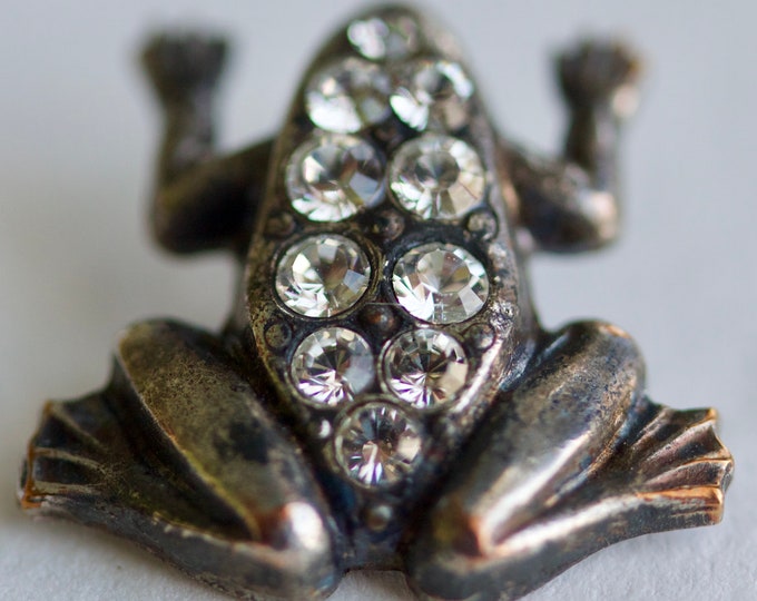 Realistic Frog in Gems - Etsy