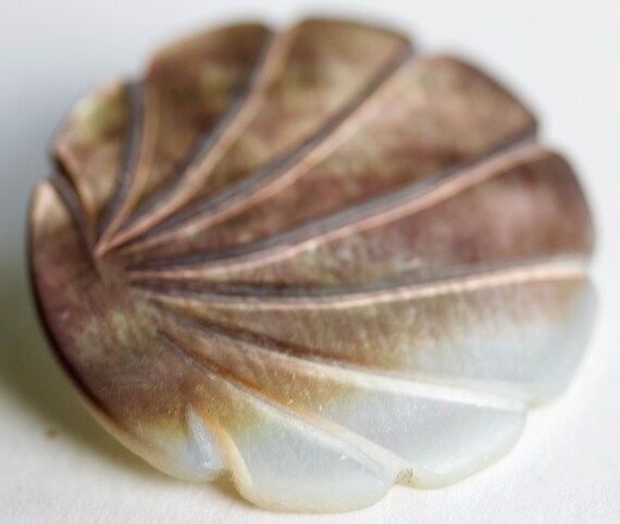 Realistic Carved Shell | Etsy