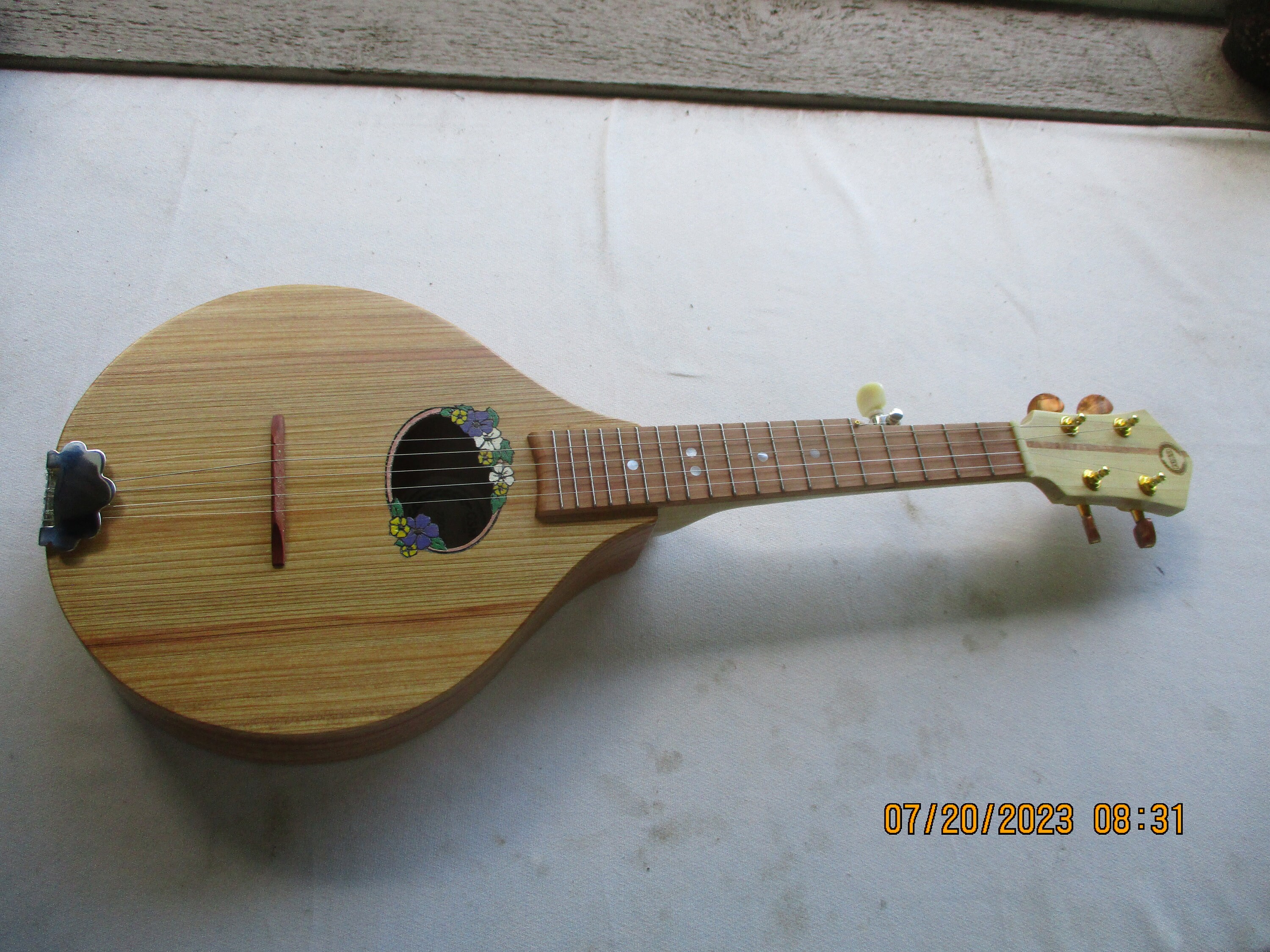 Piccolo String Instrument