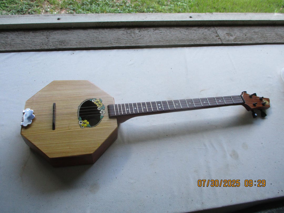 4 String Octagon Banjo Lute - Etsy