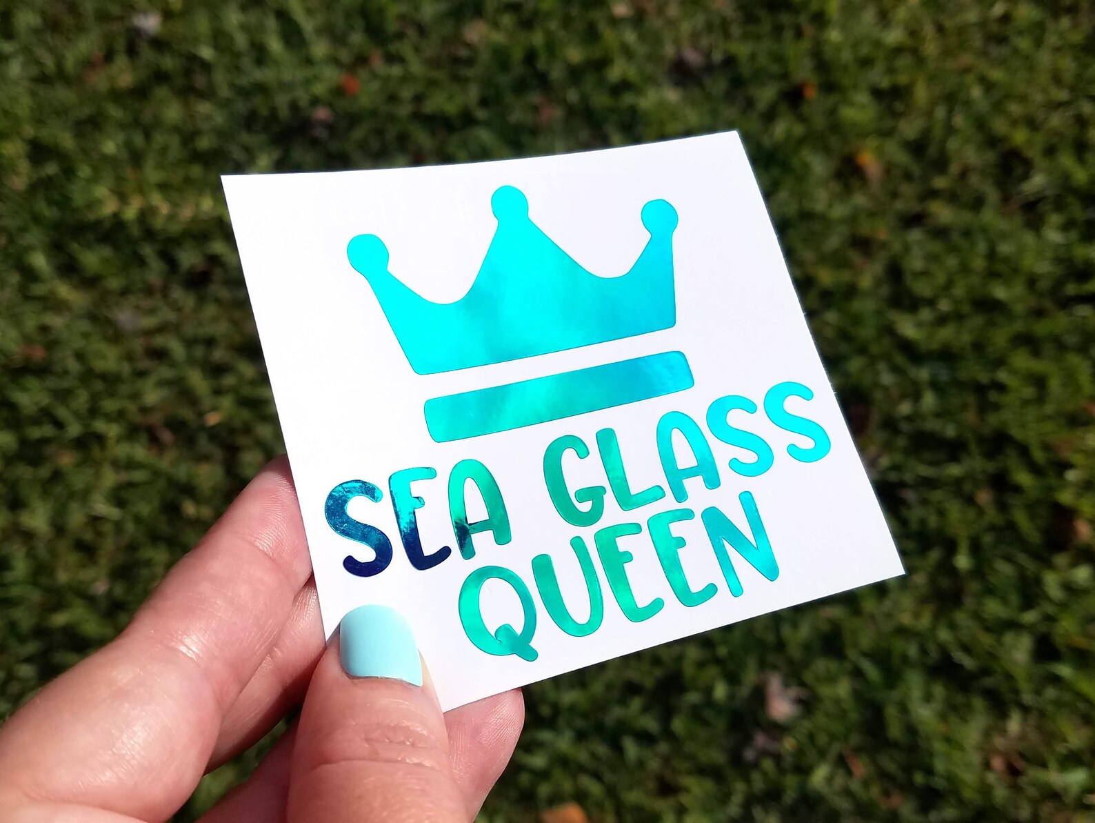 Shelling Queen Decal, Seashell Hunter, Shell Addict, Shelling Life ...