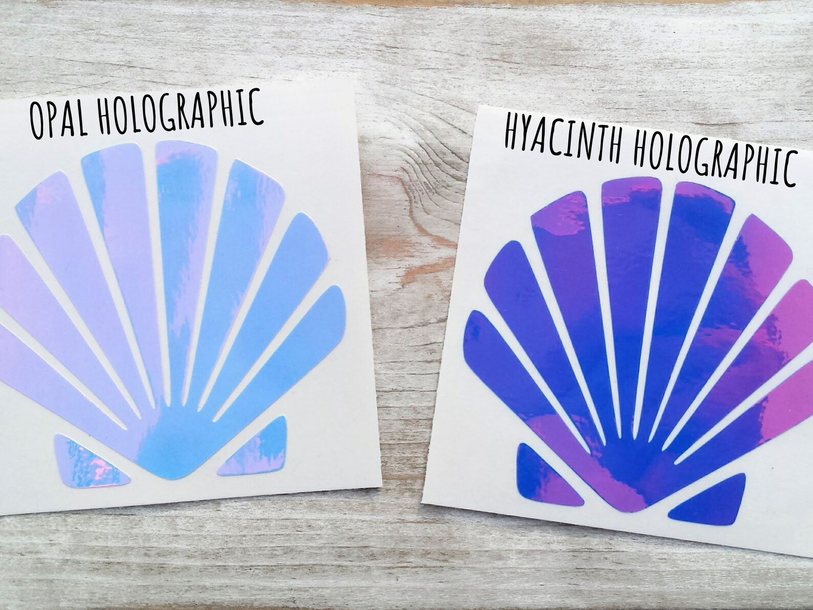 Seashell Decal, Seashells, Iridescent Shell Decal, Iridescent Seashell ...