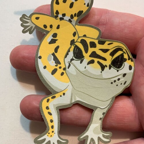 Lizard Sticker Gecko Sticker Rainbow Sticker waterproof - Etsy