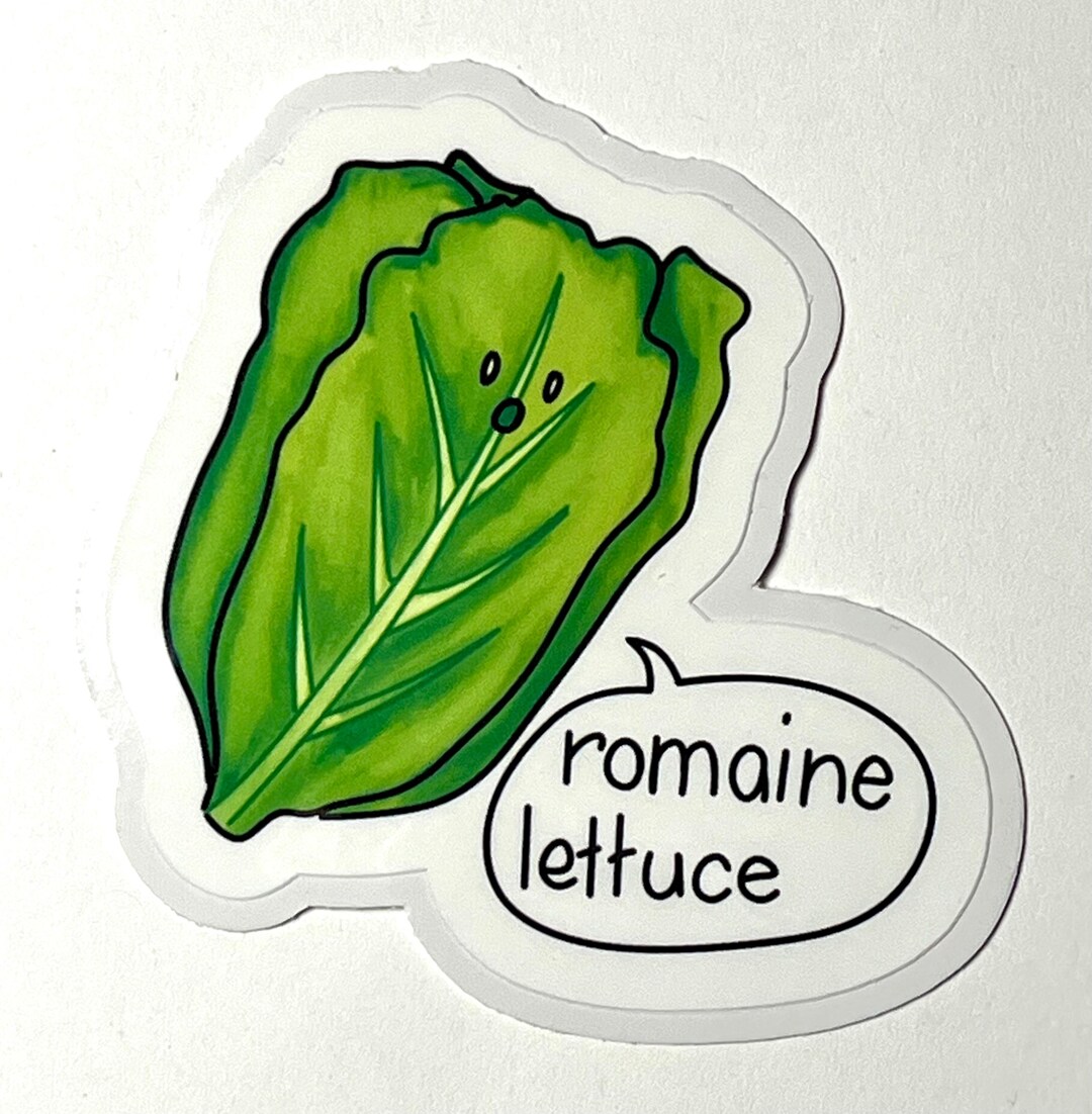 Cute Romaine Lettuce Vinyl Stickers - Etsy