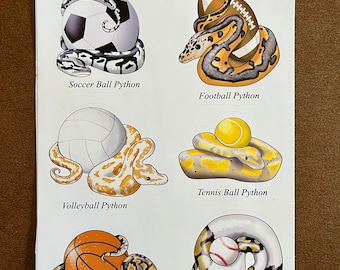 Frog Stickers One Inch Round Seals - Etsy