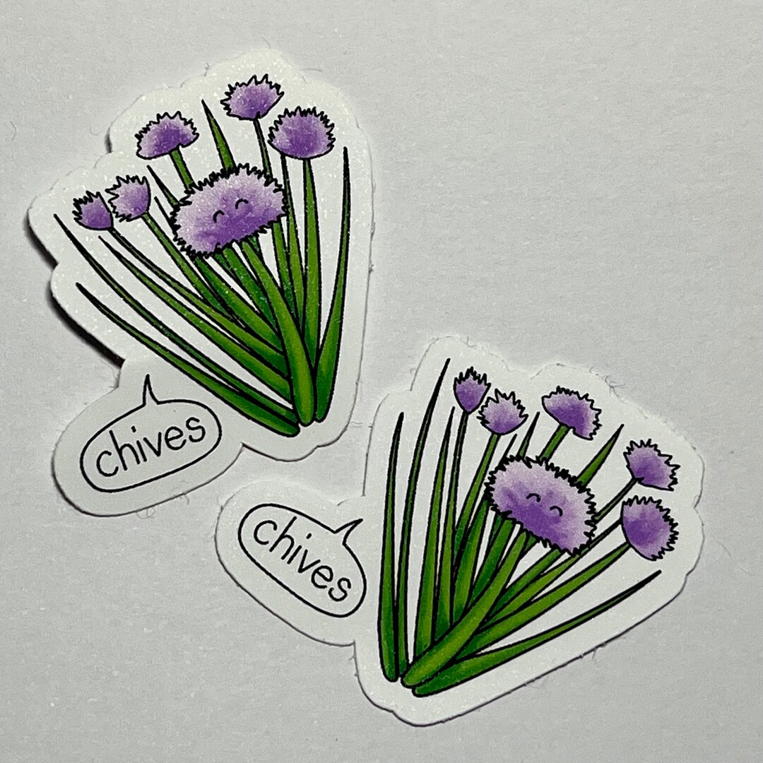 Cute Chives Stickers - Set of 2 Vinyl Stickers - Etsy