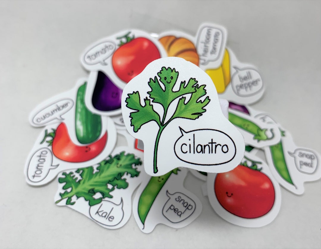 Cute Cilantro Vinyl Stickers - Etsy Hong Kong