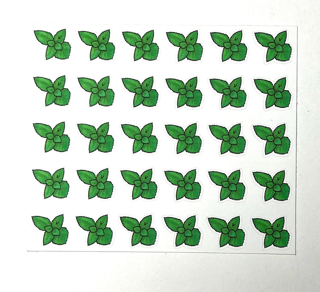 Cute Mint Planner Stickers - Set of 30 Mini Paper Stickers - Etsy