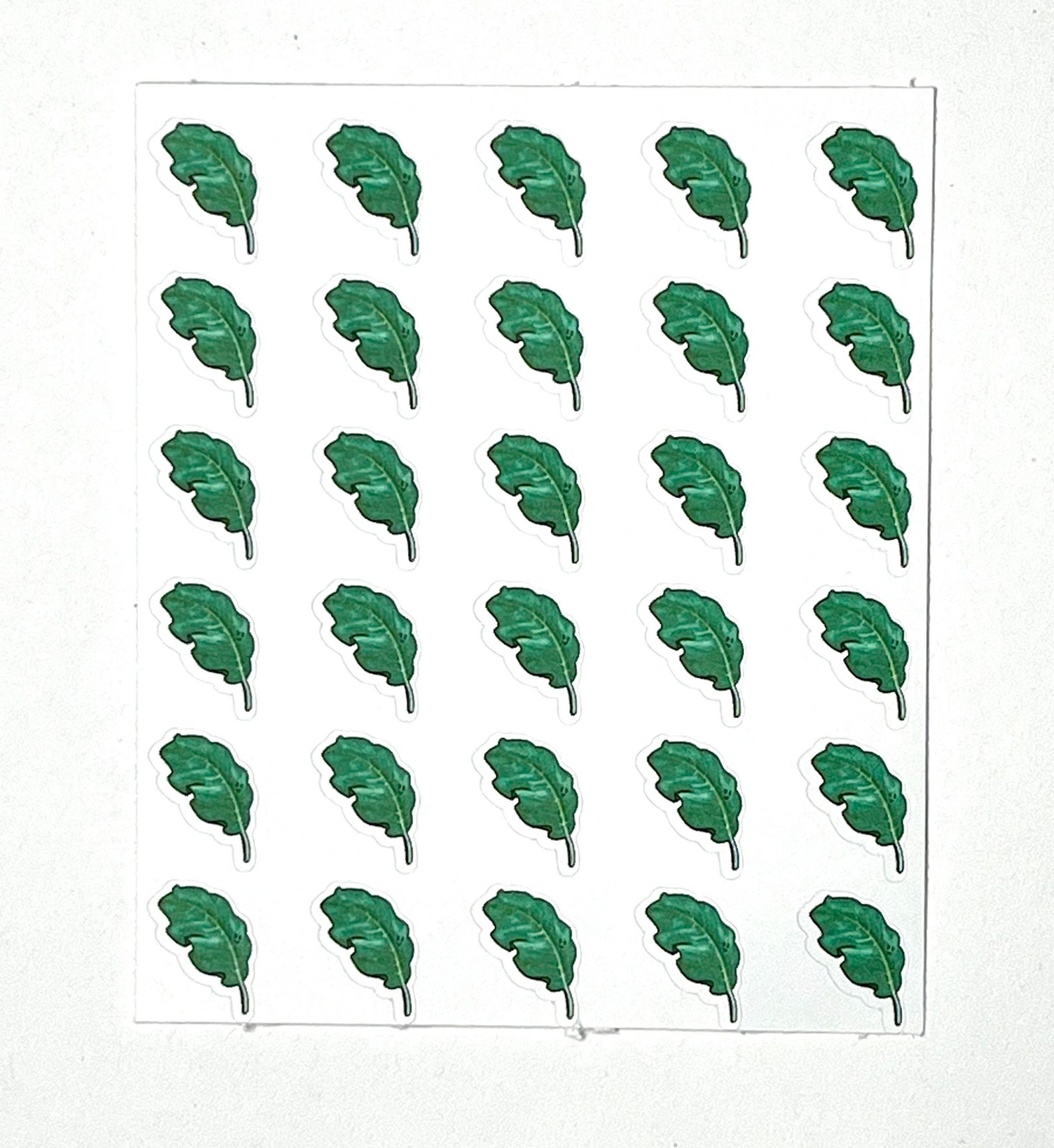 Cute Collard Green Planner Stickers - Set of 30 Mini Paper Stickers - Etsy