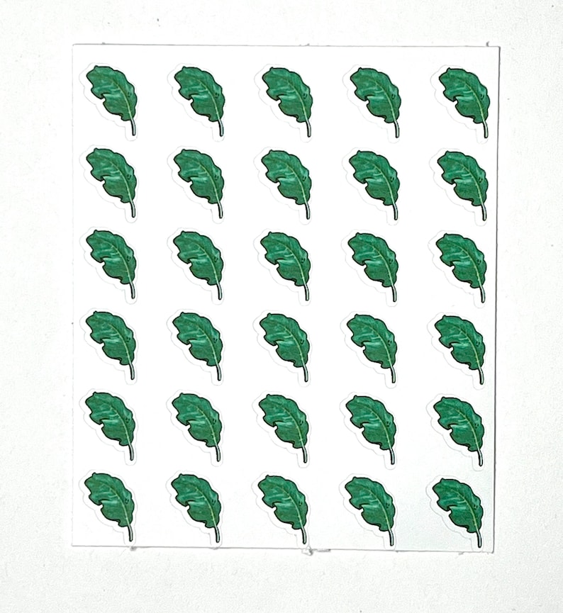 Cute Collard Green Planner Stickers - Set of 30 Mini Paper Stickers - Etsy