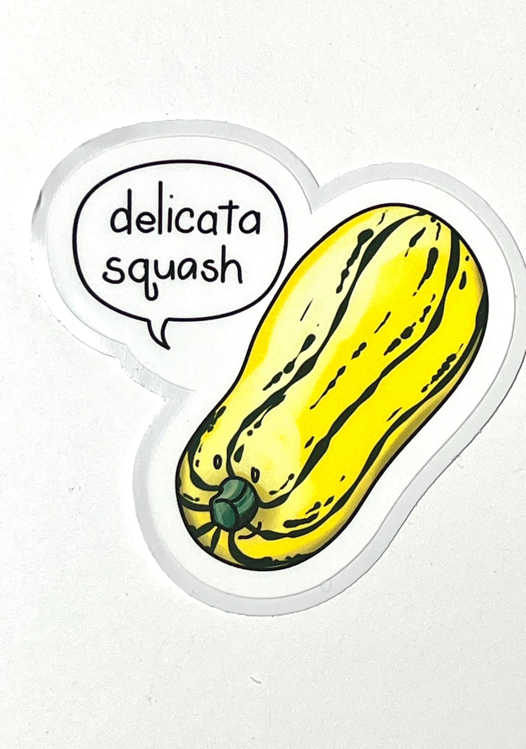 Cute Delicata Squash Vinyl Stickers - Etsy