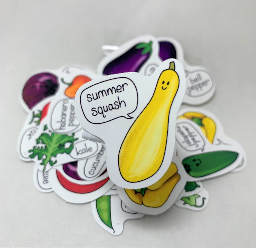 Cute Summer Squash Vinyl Stickers - Etsy