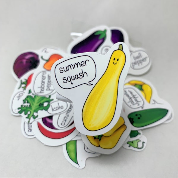 Summer Squash - Etsy
